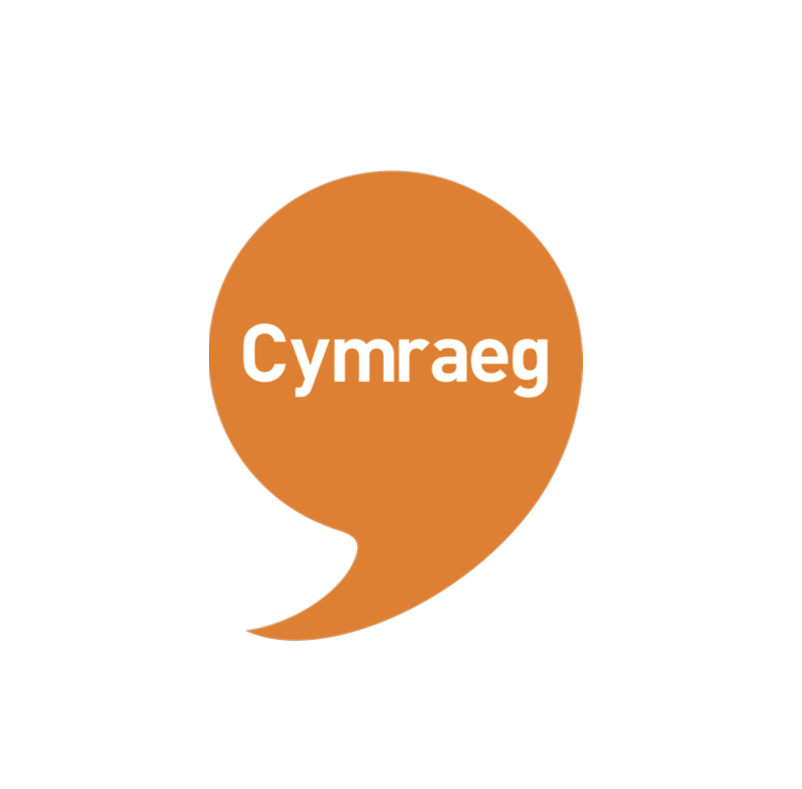 Welsh Medium Education Workforce Capacity Development Grant 2024/25 - CSC